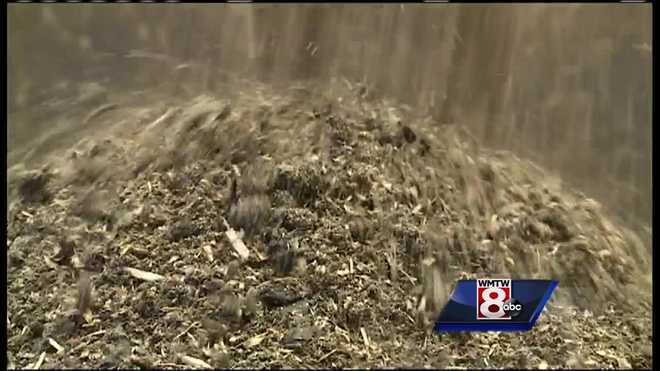 From flush to flowers: Human waste turned into compost