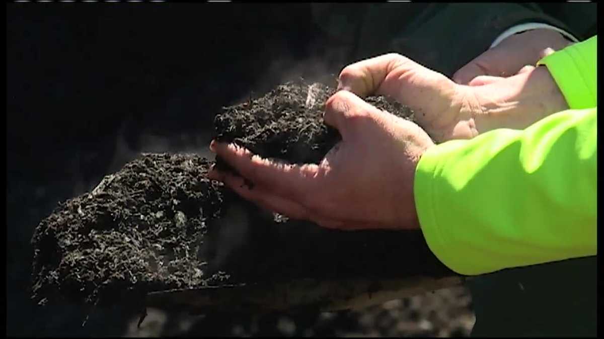 From flush to flowers: Human waste turned into compost