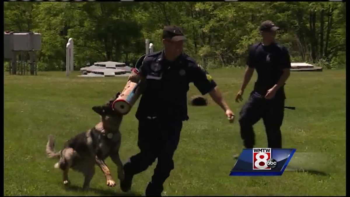 Graduation ceremony held for K-9 officers, handlers