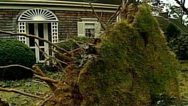 Images show damage from Hurricane Bob in New England in 1991