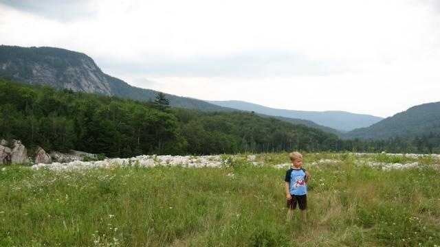 Which NH towns have most singles?