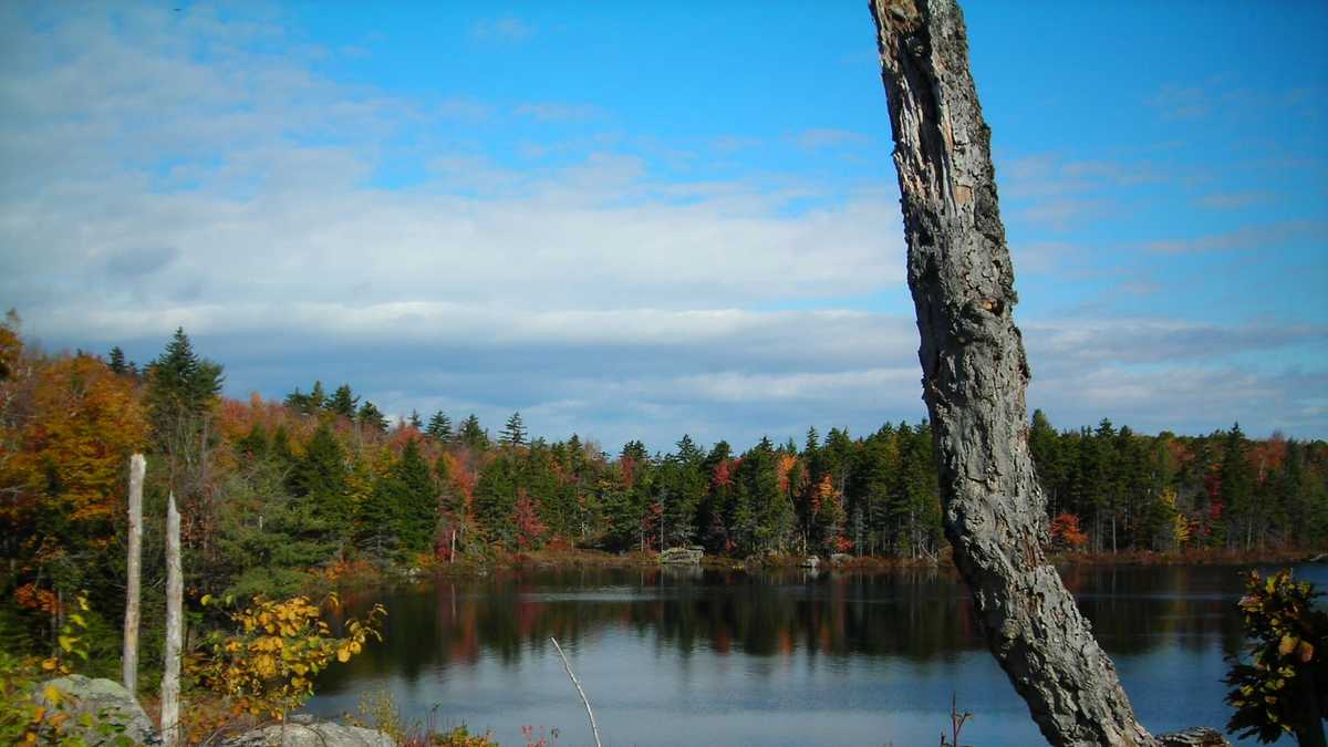 Which NH towns have most singles?