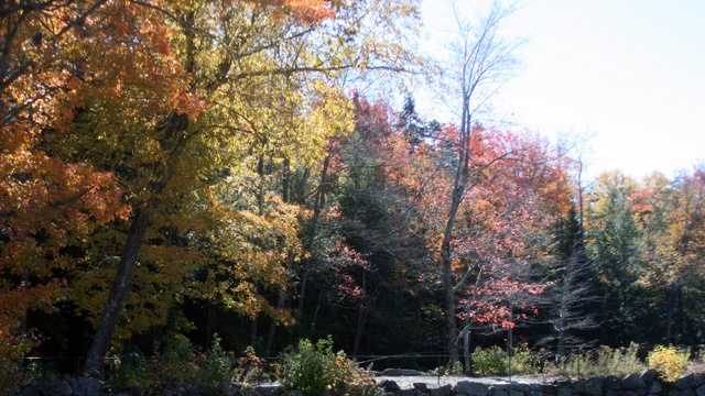 Which NH towns have most singles?