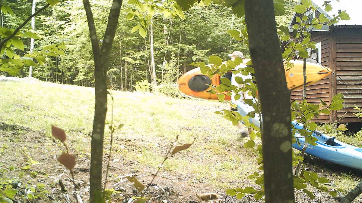 Police: Kayak theft caught on camera