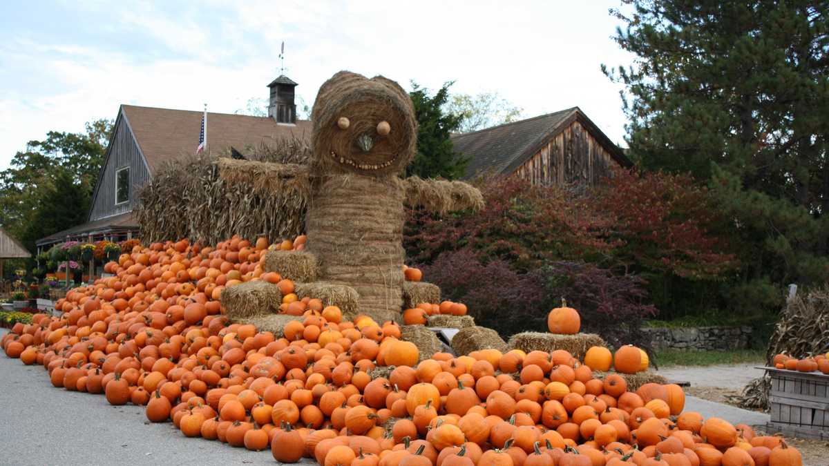 List: Favorite pumpkin patches in New Hampshire