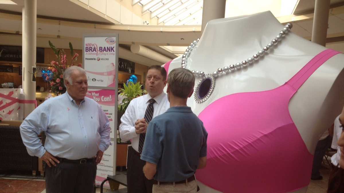 Bra Bank to benefit NH Breast Cancer Coalition