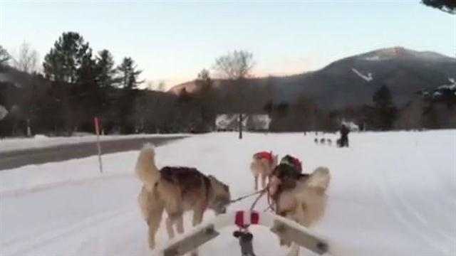 Dog sledding an exhilarating way to experience winter in NH
