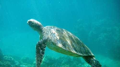 25 things you may not know about Ray Brewer