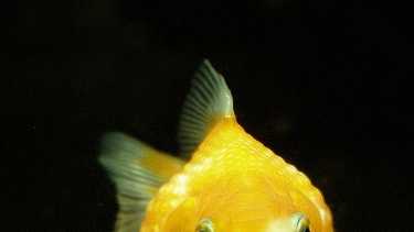 25 things you may not know about Ray Brewer