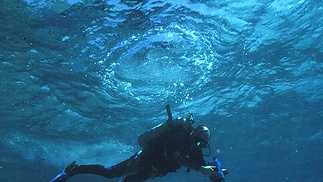 25 things you may not know about Ray Brewer