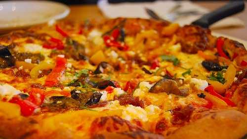 25 things you may not know about Mike Haddad