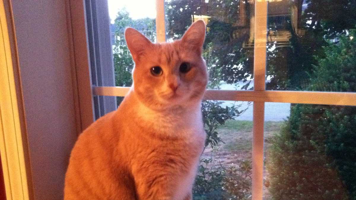 25 things you may not know about Mike Haddad