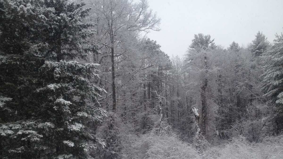 Photos: Another winter storm hits NH