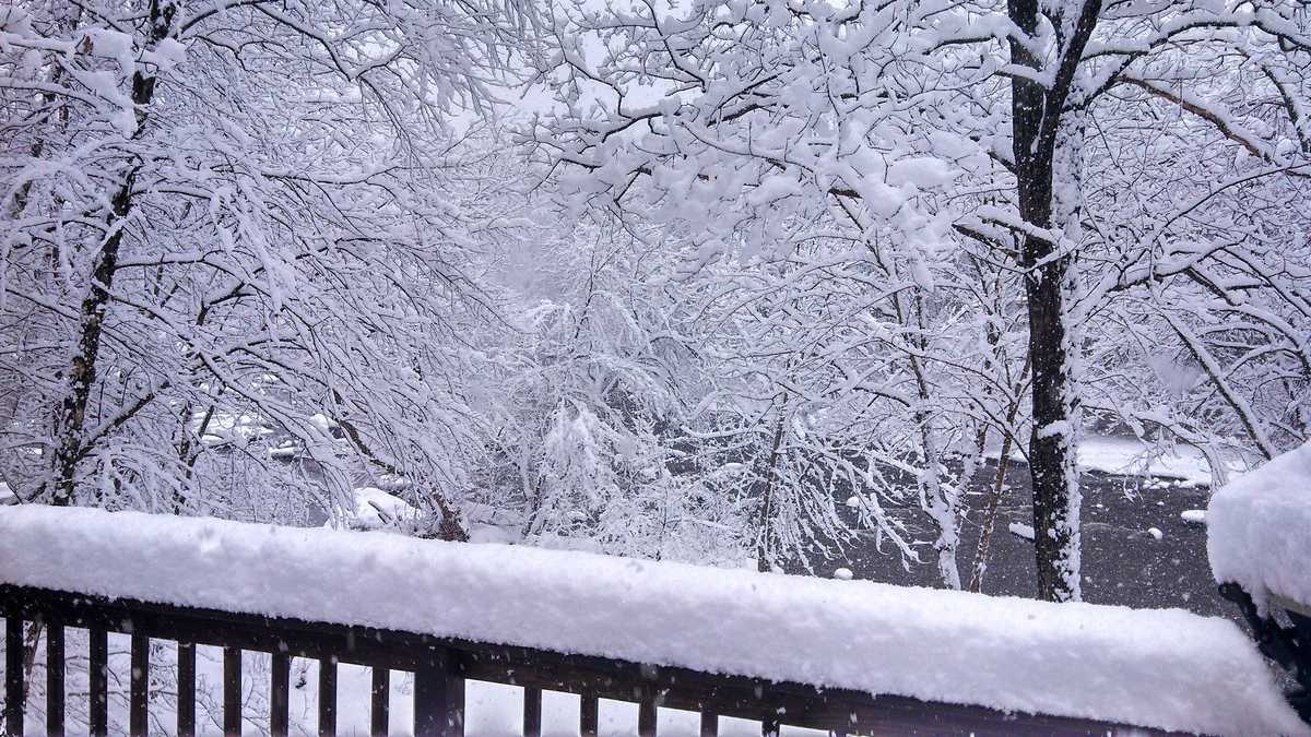Photos: Another winter storm hits NH