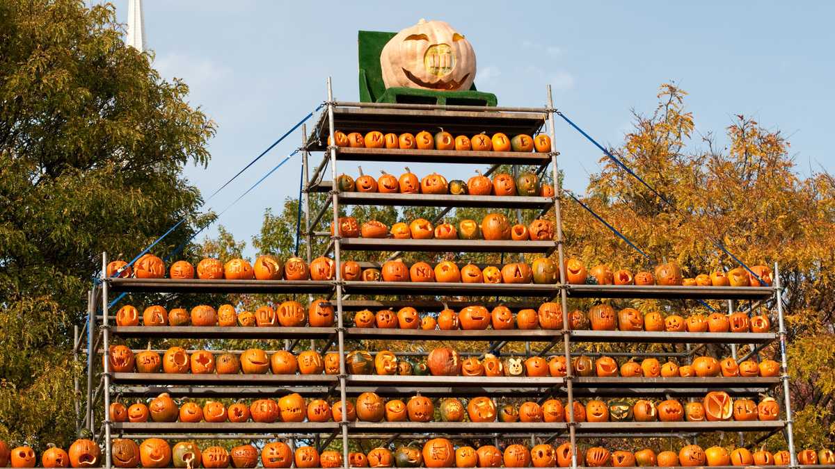 25 things you may not know about Jean Mackin