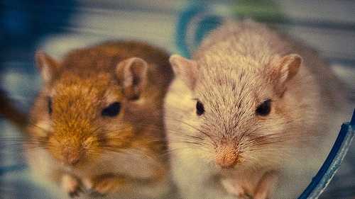 25 things you may not know about Jean Mackin