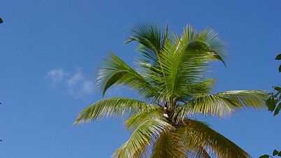 25 things you may not know about Jean Mackin