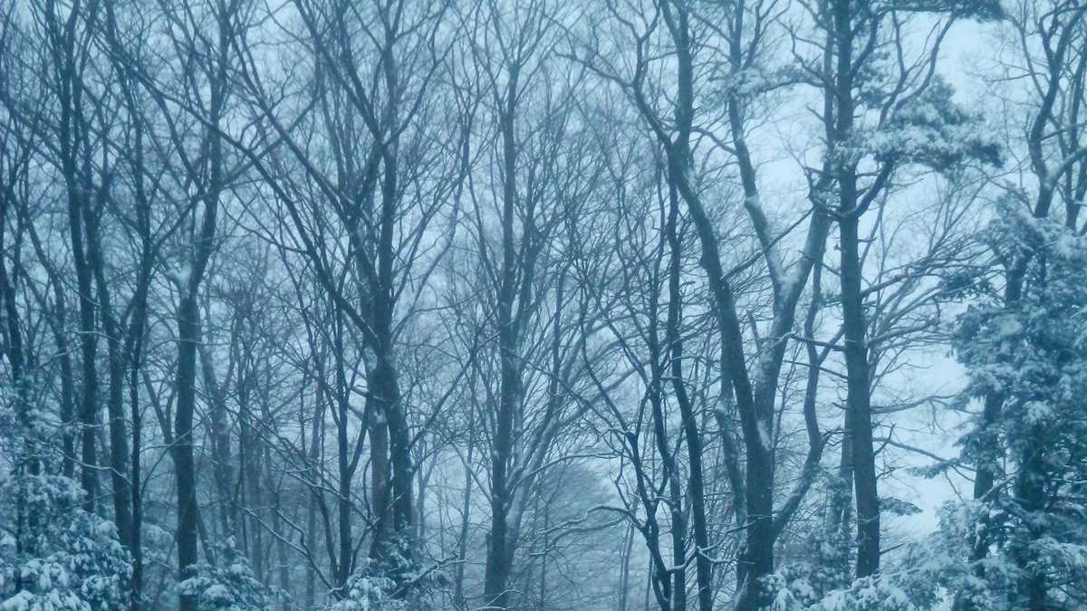 Photos: Another March winter storm hits NH