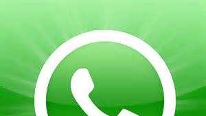 25 things you may not know about Amy Coveno