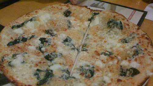 25 things you may not know about Amy Coveno