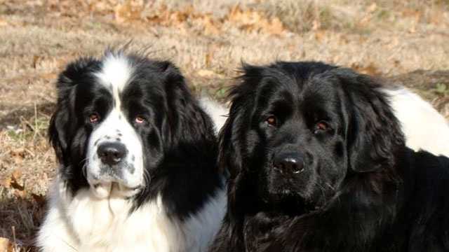 25 things you may not know about Amy Coveno