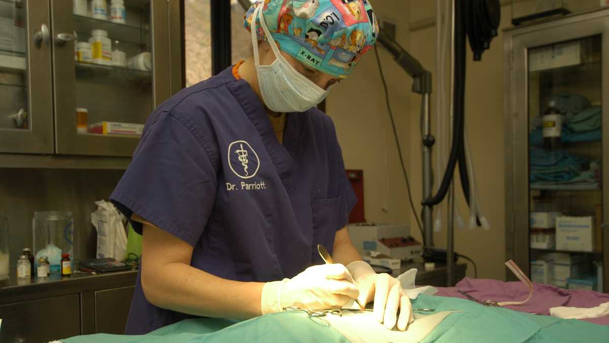 25 things you may not know about Heather Hamel