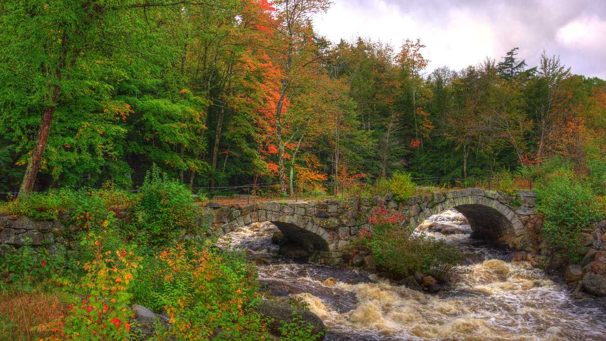 25 things you may not know about Fritz Wetherbee