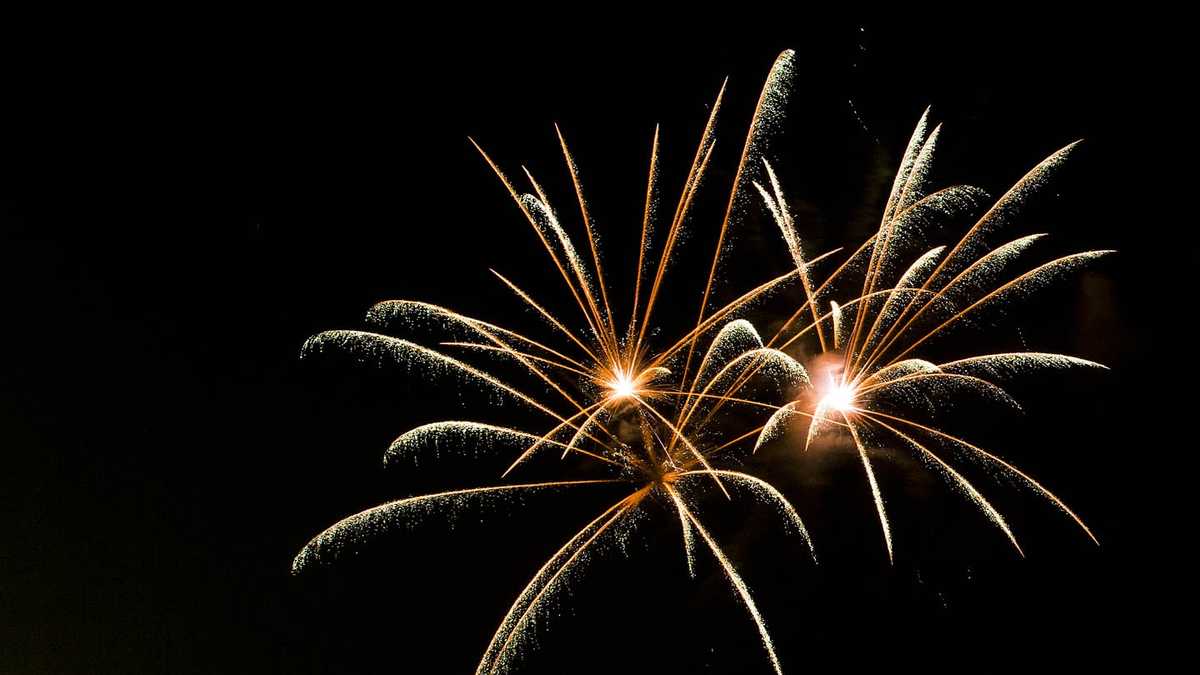 25 things you may not know about Fritz Wetherbee