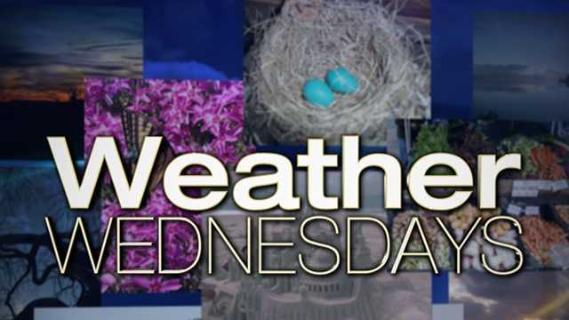 Introducing WMUR's Weather Wednesdays