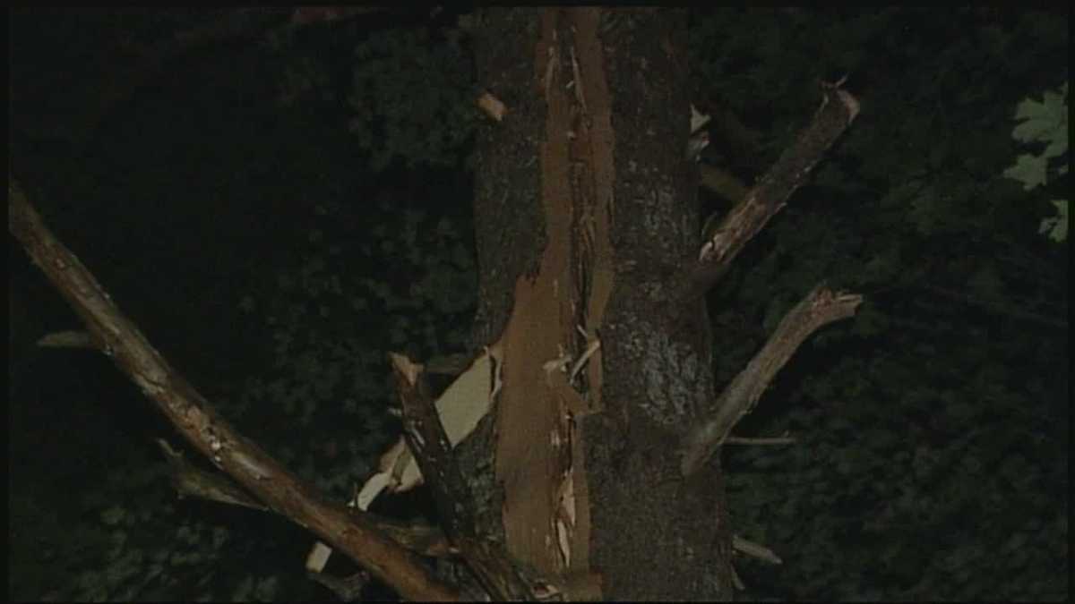 Manchester man survives lightning strike