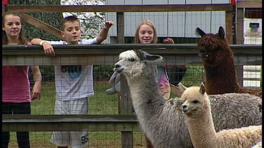 Tuesday December 31st: Hopkinton Fair