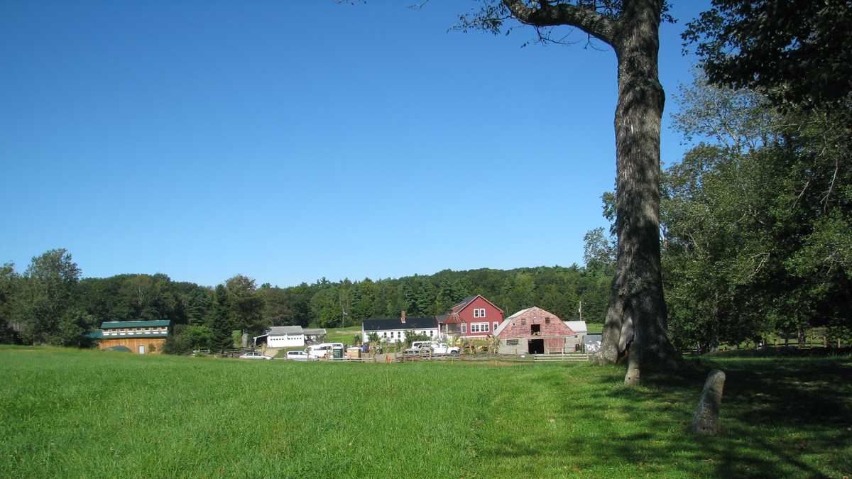 Photos: Tour Coppal House Farm in Lee