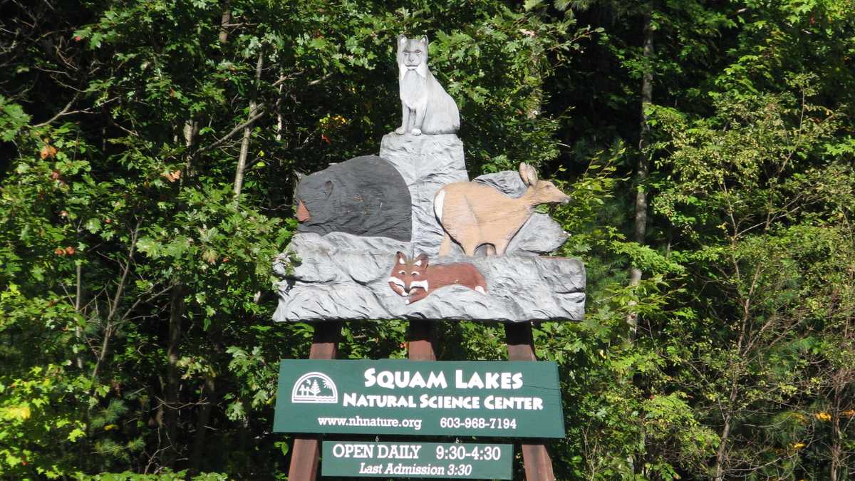 Fall Foliage Finds: Squam Lakes Region