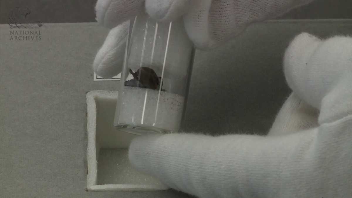 Photos: Evidence from the JFK assassination