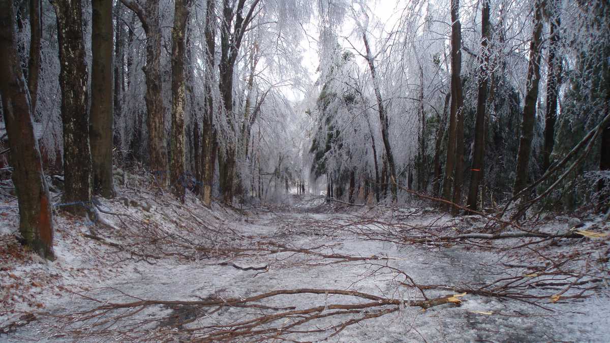 A look back: 2008 Ice storm
