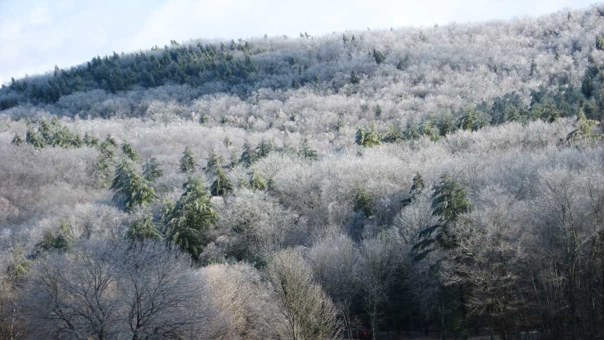 A look back: 2008 Ice storm