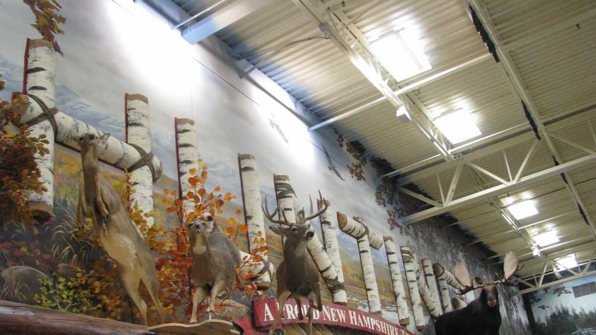 Photos: Bass Pro Shops construction nearly complete