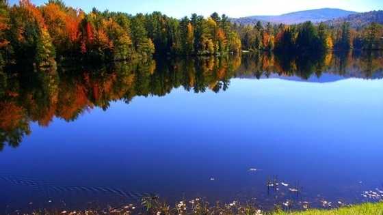 New Hampshire towns with most NH-born residents