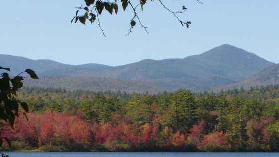 New Hampshire towns with most NH-born residents