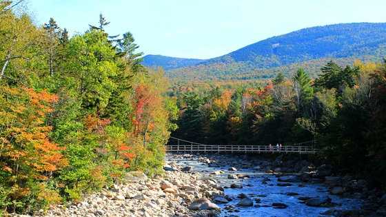 New Hampshire towns with most NH-born residents