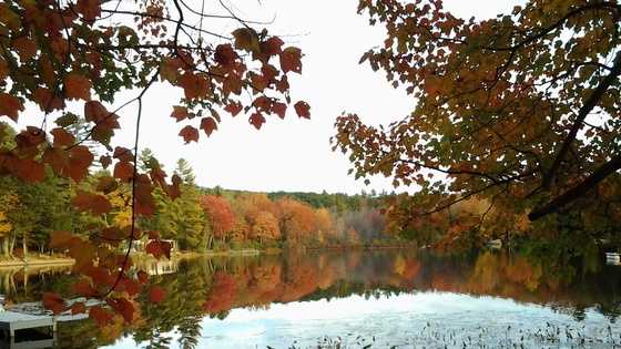 New Hampshire towns with most NH-born residents