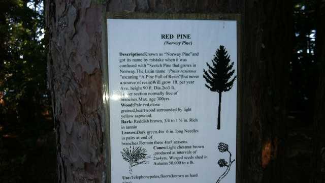 Photos: Wellington State Park