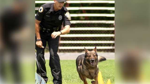 Manchester police dog retires after five years on force