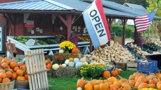 Viewers' Choice: Best farm stands in NH