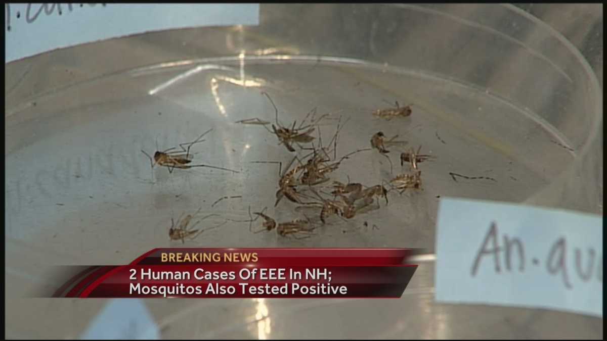 EEE case diagnosed in Hopkinton resident