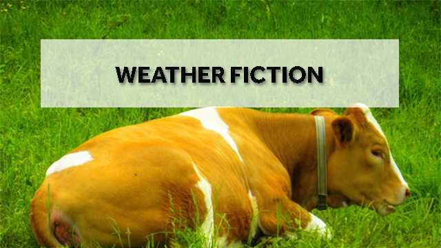 Weather folklore: Is it fact or fiction?