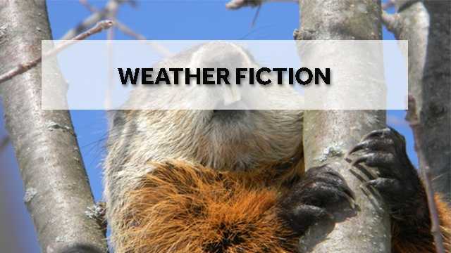Weather folklore: Is it fact or fiction?