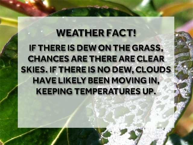 Weather folklore: Is it fact or fiction?