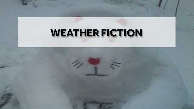 Weather folklore: Is it fact or fiction?