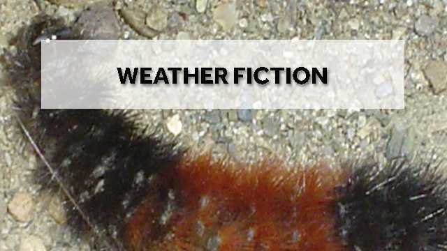 Weather folklore: Is it fact or fiction?